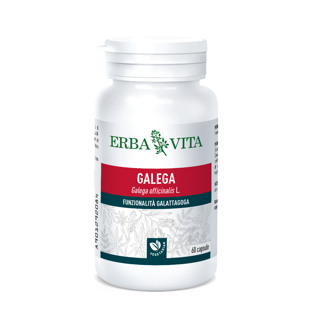 GOAT’S RUE (Galega officinalis) - Erba Vita Group SpA - Intl.